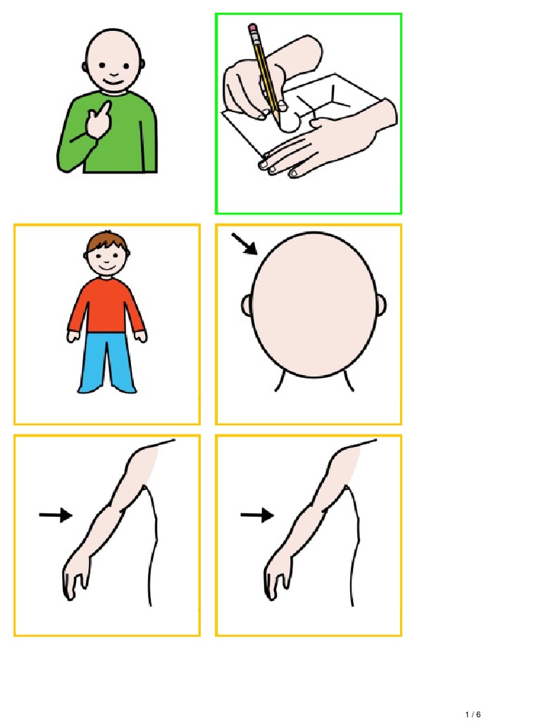 Voy A Dibujar Mi Cuerpo | PDF