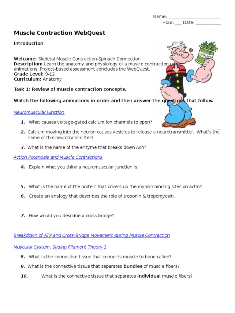 Muscle Contraction WebQuest Guide | PDF | Muscle Contraction | Skeletal ...