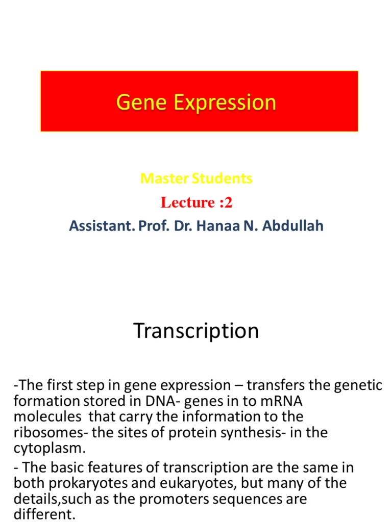 Transcription and Translation: An In-Depth Look at Gene Expression in ...