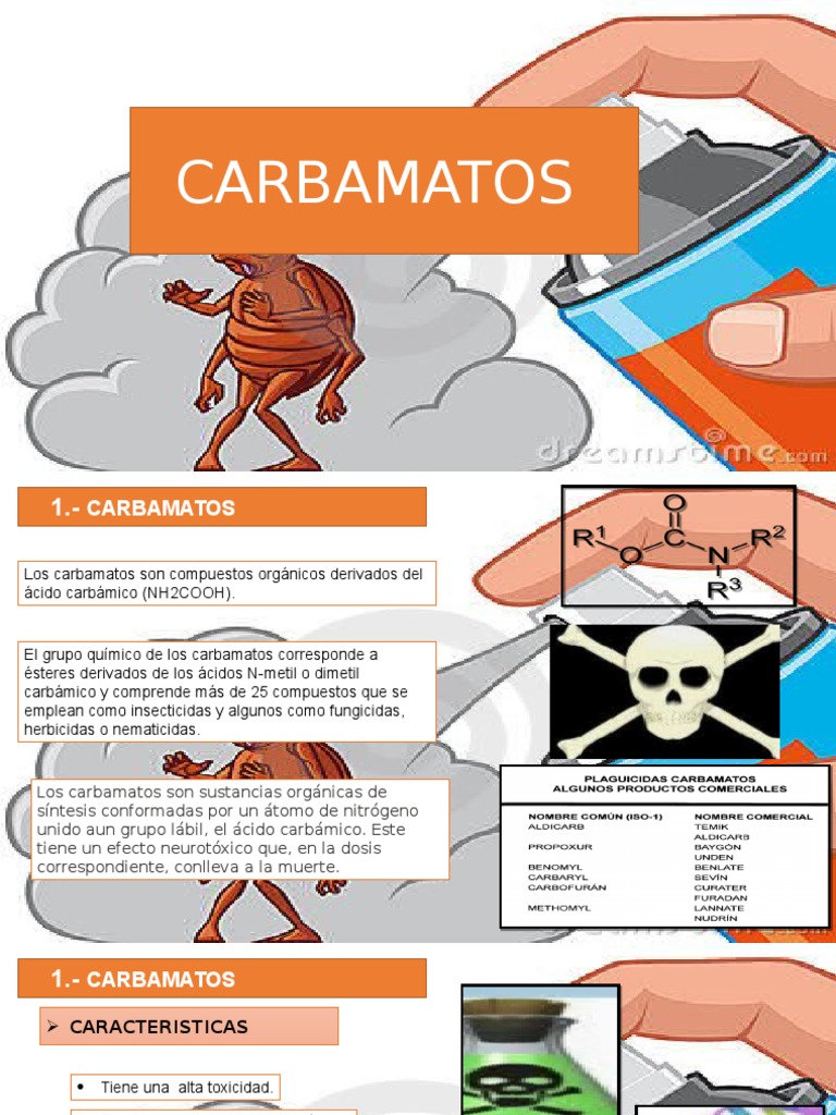 CARBAMATOS | PDF | Insecticida | Inhibidor de la enzima