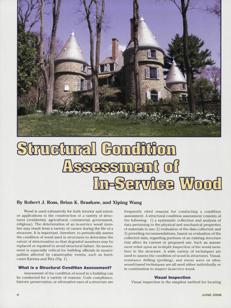 Wood Assessment | PDF | Wood | Decomposition