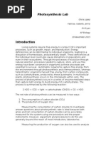 Effect of Light Intensity on Spinach Photosynthesis | PDF ...