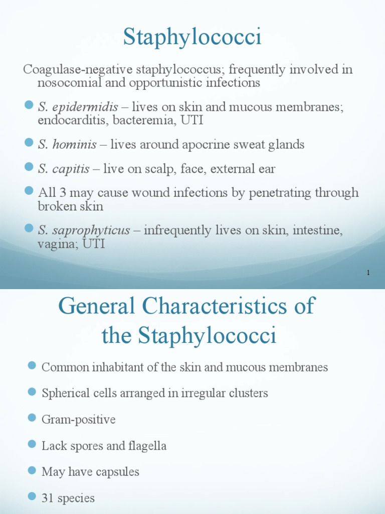 1 Staph, Strep, Neisseria | PDF | Streptococcus | Staphylococcus Aureus