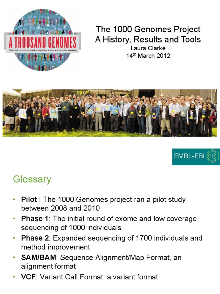 1000 Genomes Reference | PDF | Dna Sequencing | Biostatistics