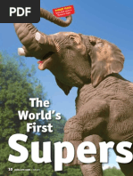 RACE Strategy Practice Worksheets BUNDLE of 40 RA | PDF | Career & Growth