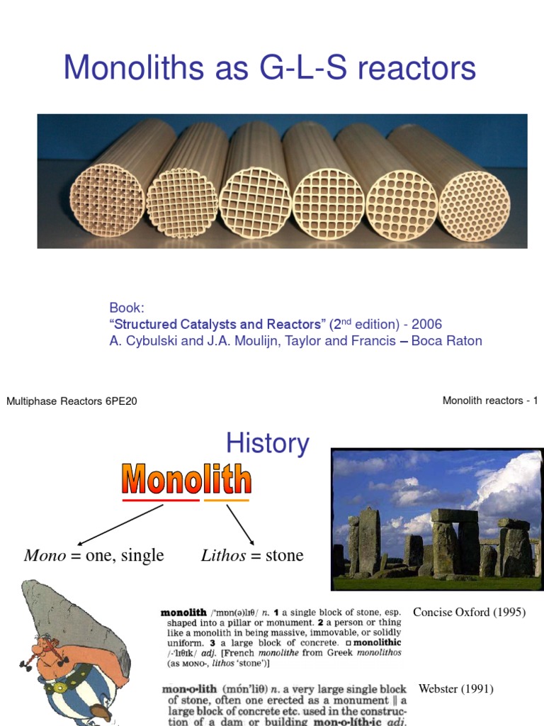 Monolith Multiphase 2012 | Chemical Reactor | Fluid Dynamics