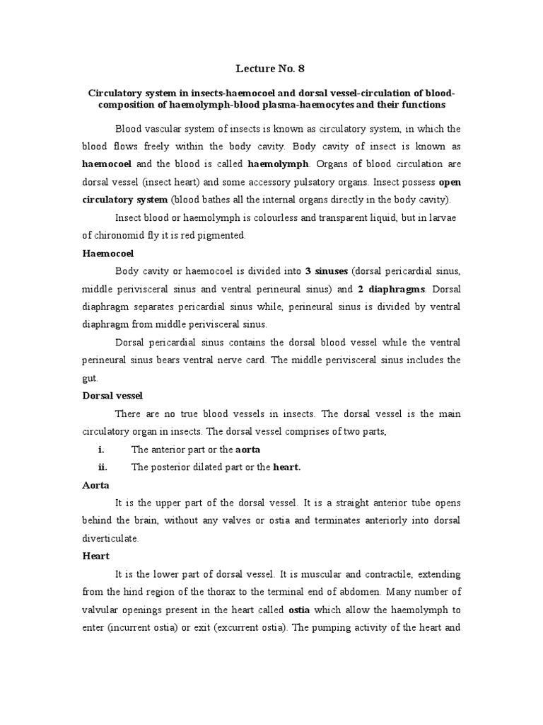 The Open Circulatory System of Insects: An In-Depth Look at the ...