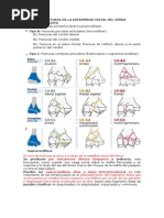 Escala de Mess | PDF | Ciencia y matemáticas