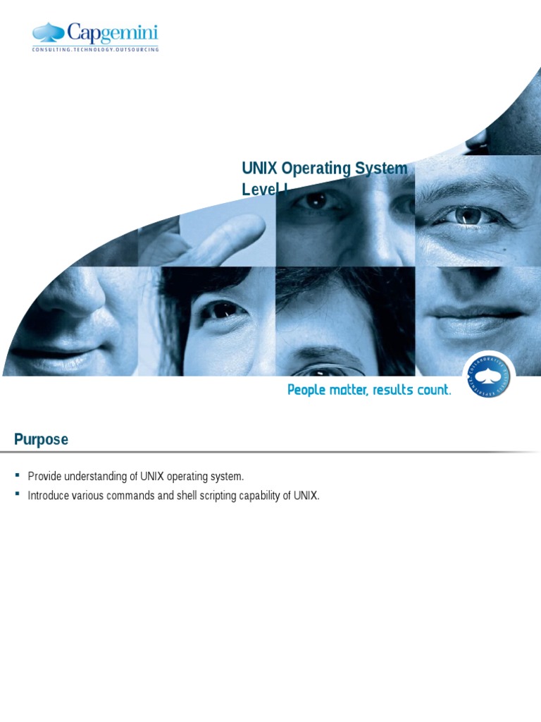 UNIX From Capgemini | PDF | Operating System | Command Line Interface
