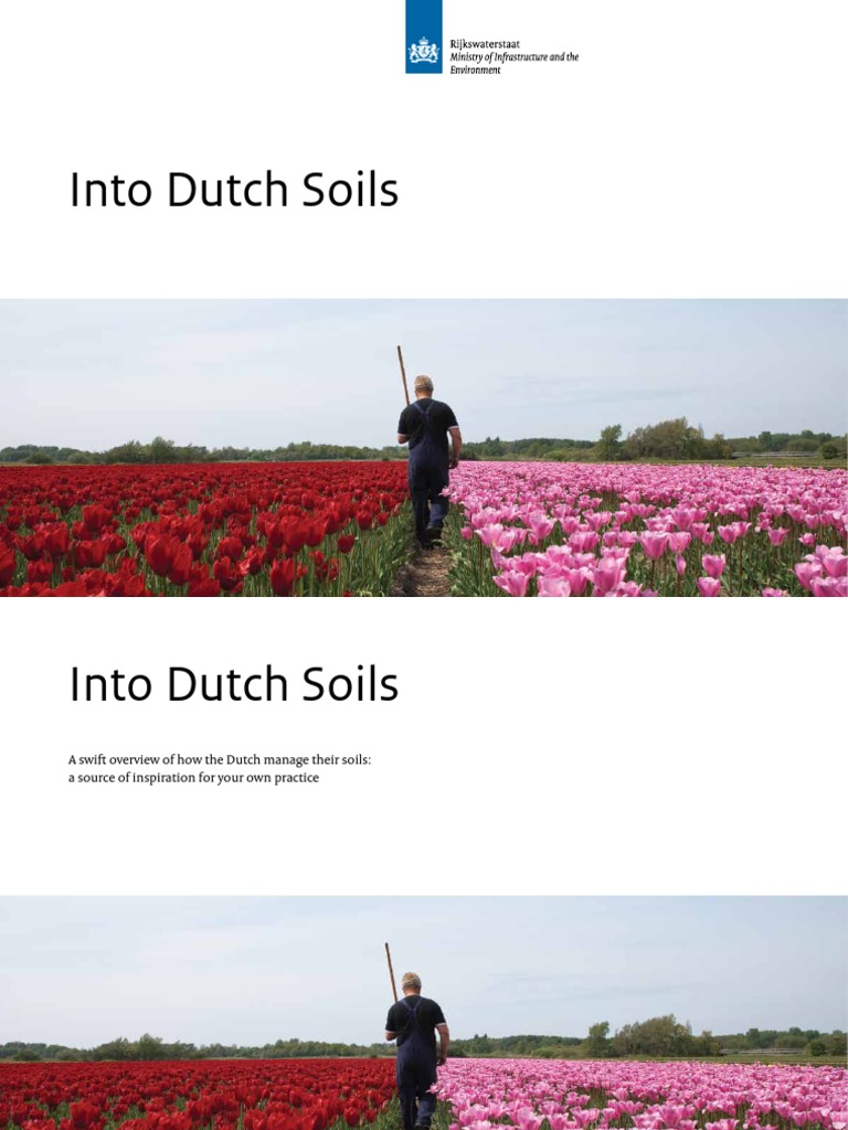 Into Dutch Soils | PDF | Environmental Remediation | Netherlands