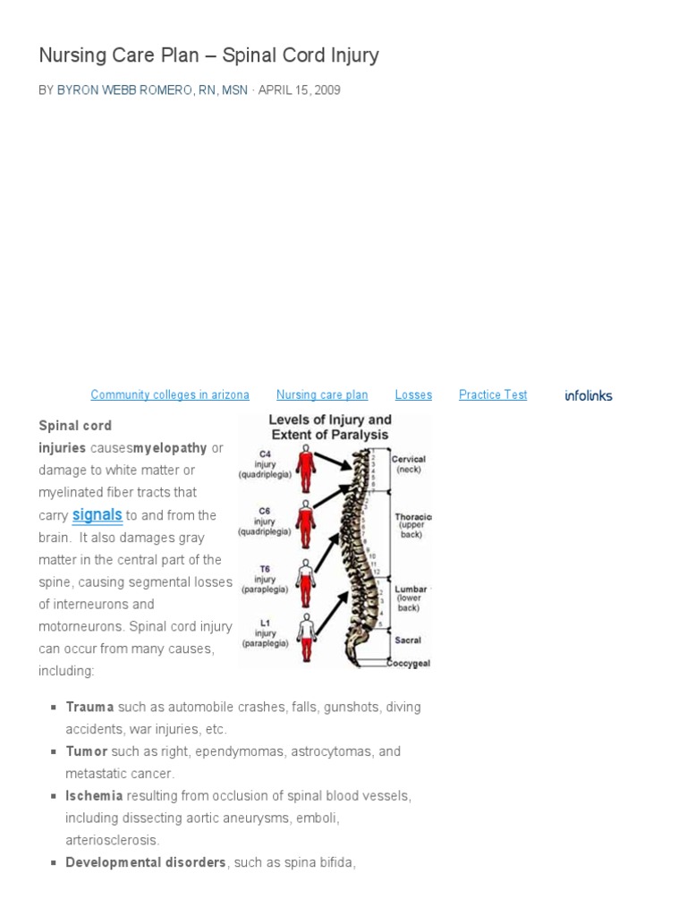 Nursing Care Plan - Spinal Cord Injury - Nursing Crib | PDF | Science ...