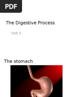The Journey of A Cheese Sandwich! | PDF | Digestion | Digestive System