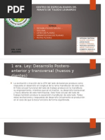 Analisis de Rocabado | PDF | Anatomía | Trastornos musculoesqueléticos