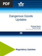IATA DGR 66 Edition 2025 Significant Changes 1725288532 | PDF | Dangerous Goods | Sodium