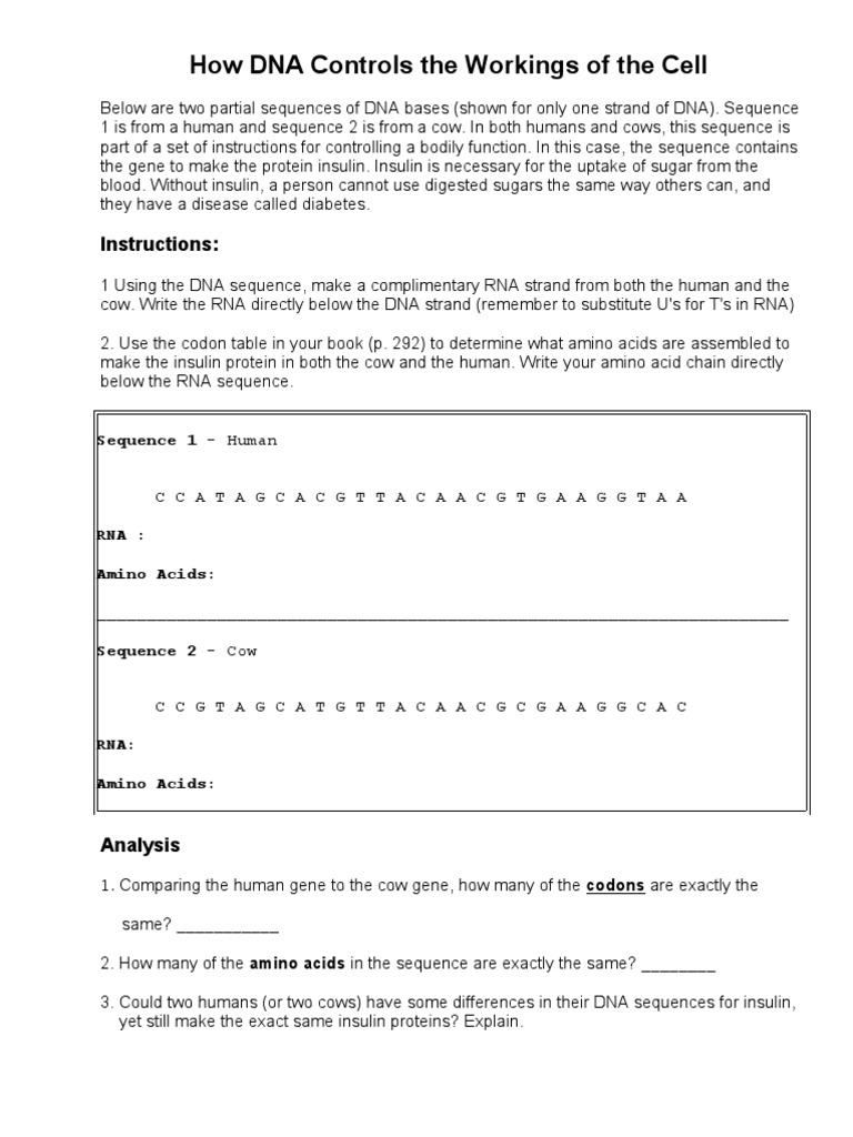 How DNA Controls The Workings of The Cell | PDF | Genetic Code ...