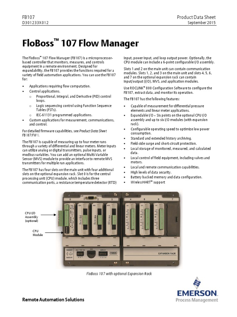 Flow Boss 107 Flow Manger | PDF | Input/Output | Central Processing Unit