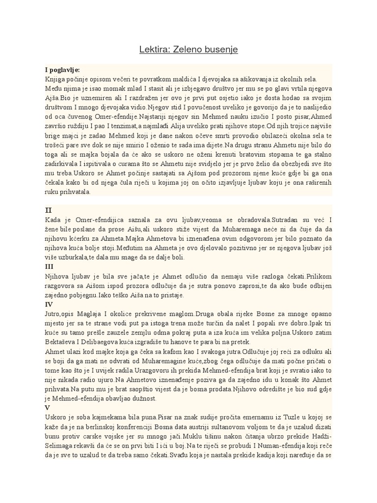 Zeleno Busenje - Edhem Mulabdic | PDF