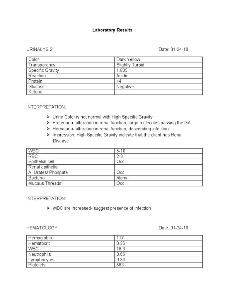 Urinalysis | PDF | Kidney | White Blood Cell