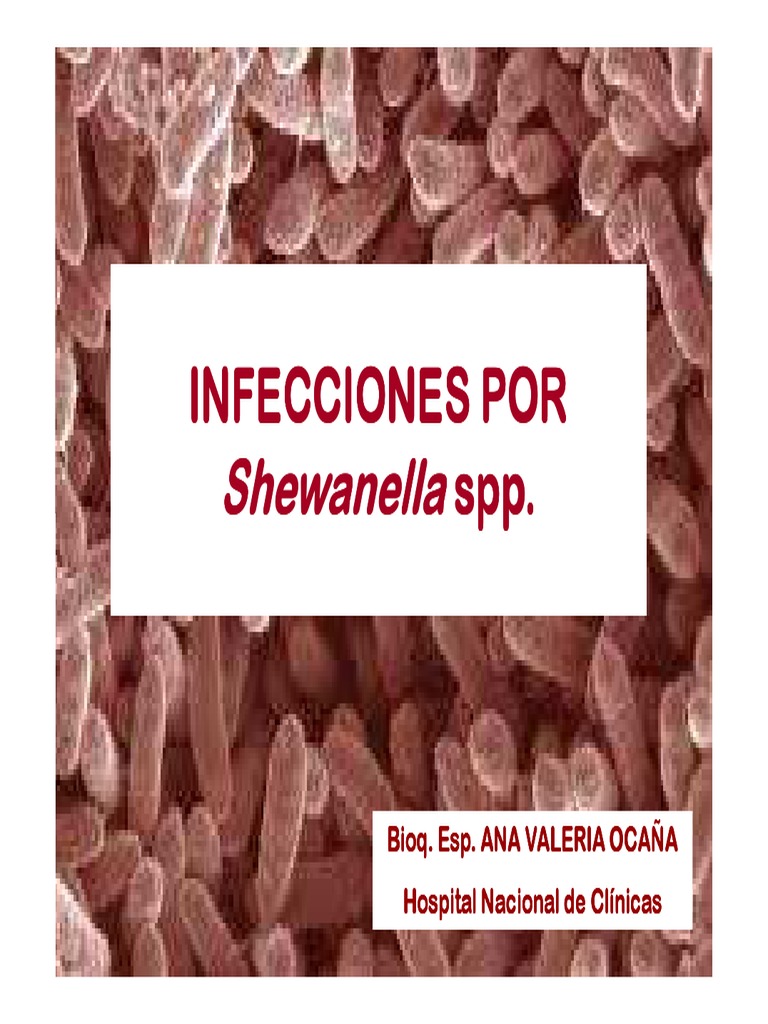 Infecciones por Shewanella spp. | PDF | Pseudomonas | Antibióticos