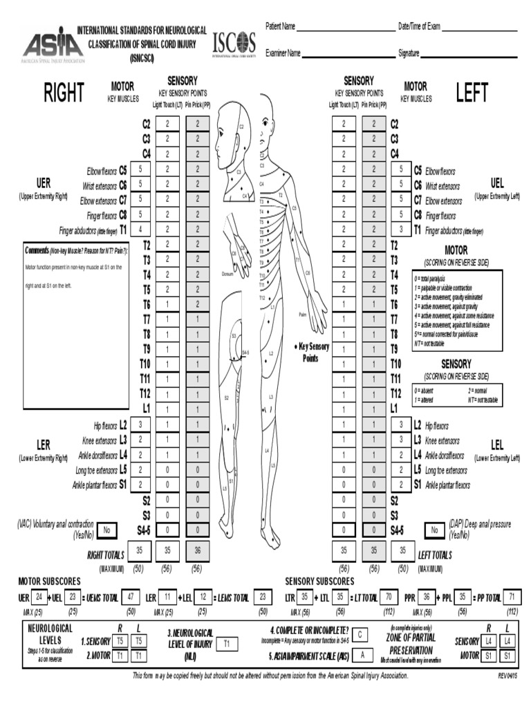 ASIA Scoring Card | PDF | Anatomical Terms Of Motion | Musculoskeletal ...