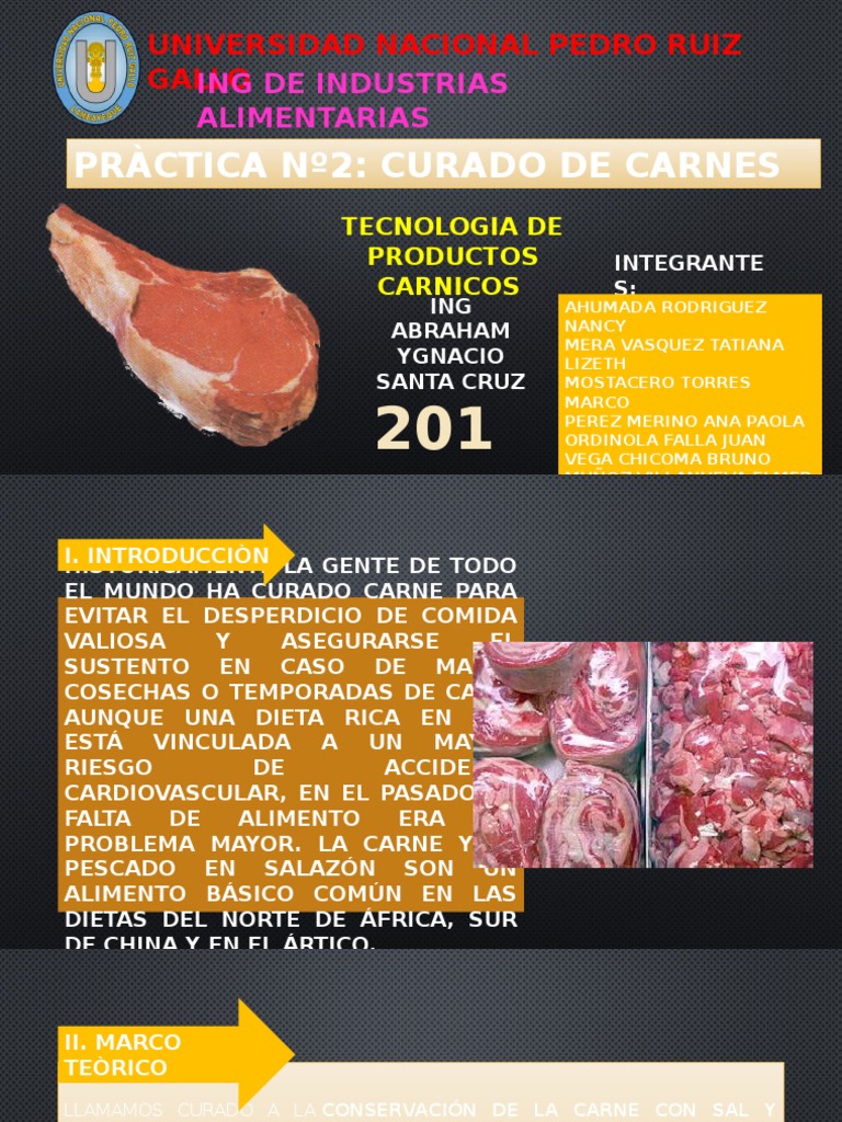 Curado de Carnes: Métodos y Resultados | PDF | Curado (Conservación de ...