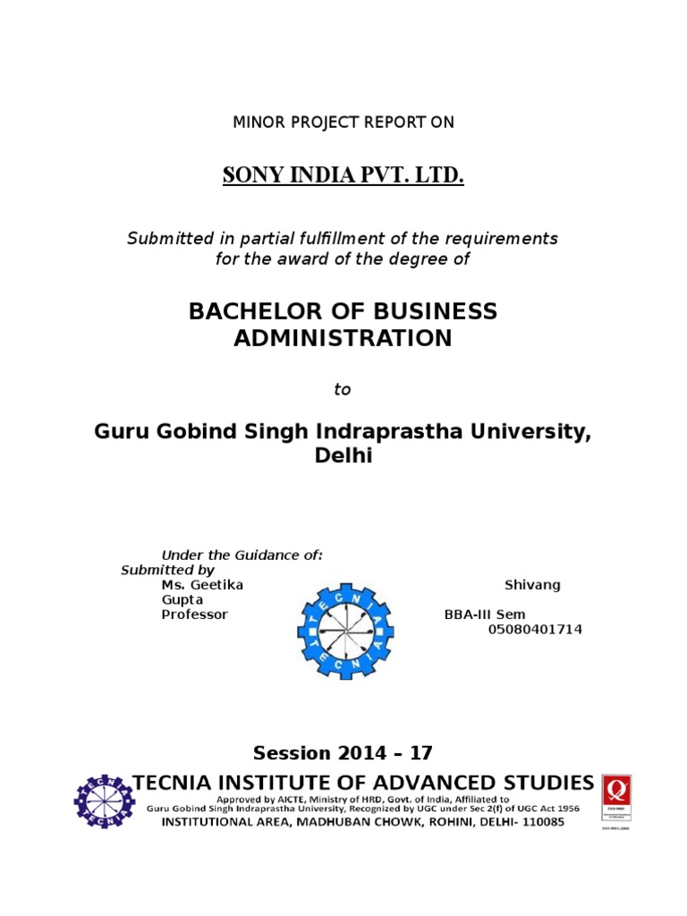 INTERN Project Report Sony | PDF | Sony | Technological Convergence