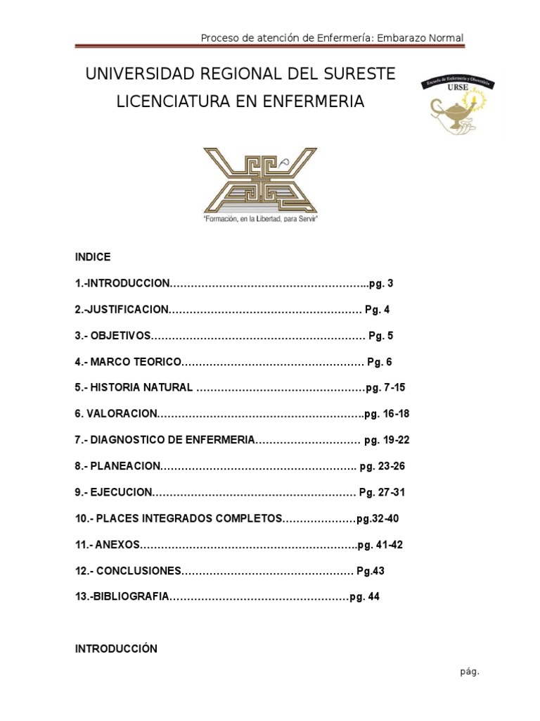 Place EmbarazoNormal | PDF | El embarazo | Parto
