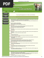 Modern Slaughter House Layout | PDF | Slaughterhouse | Animal Slaughter