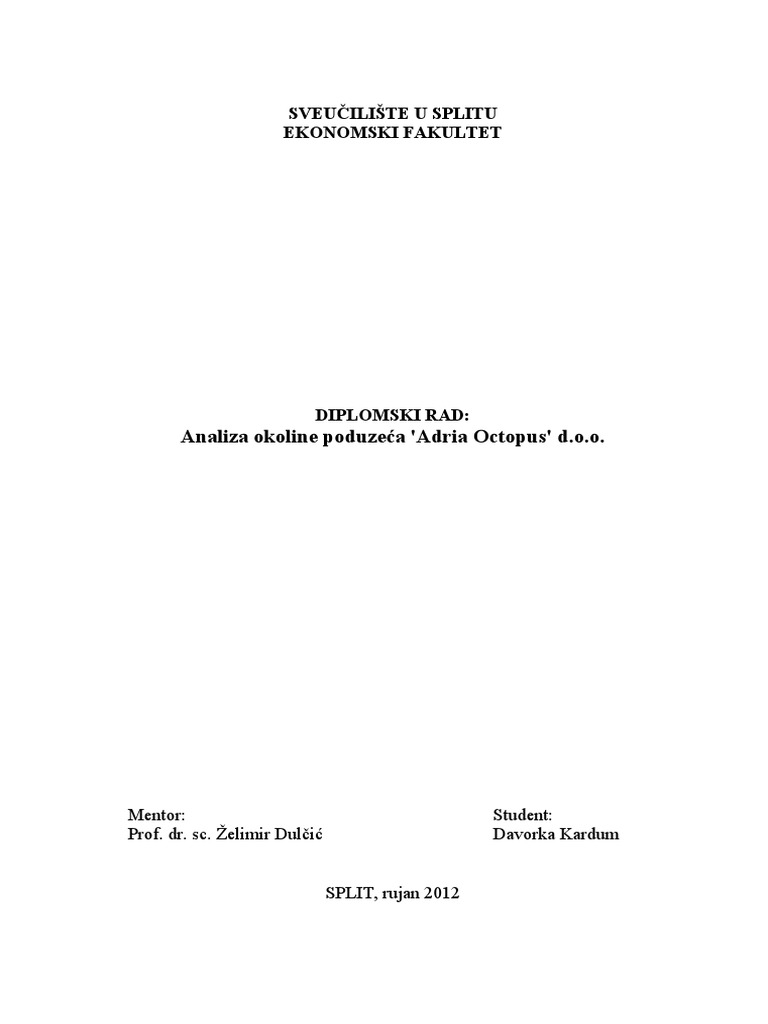 Strategijski Menadzment | PDF