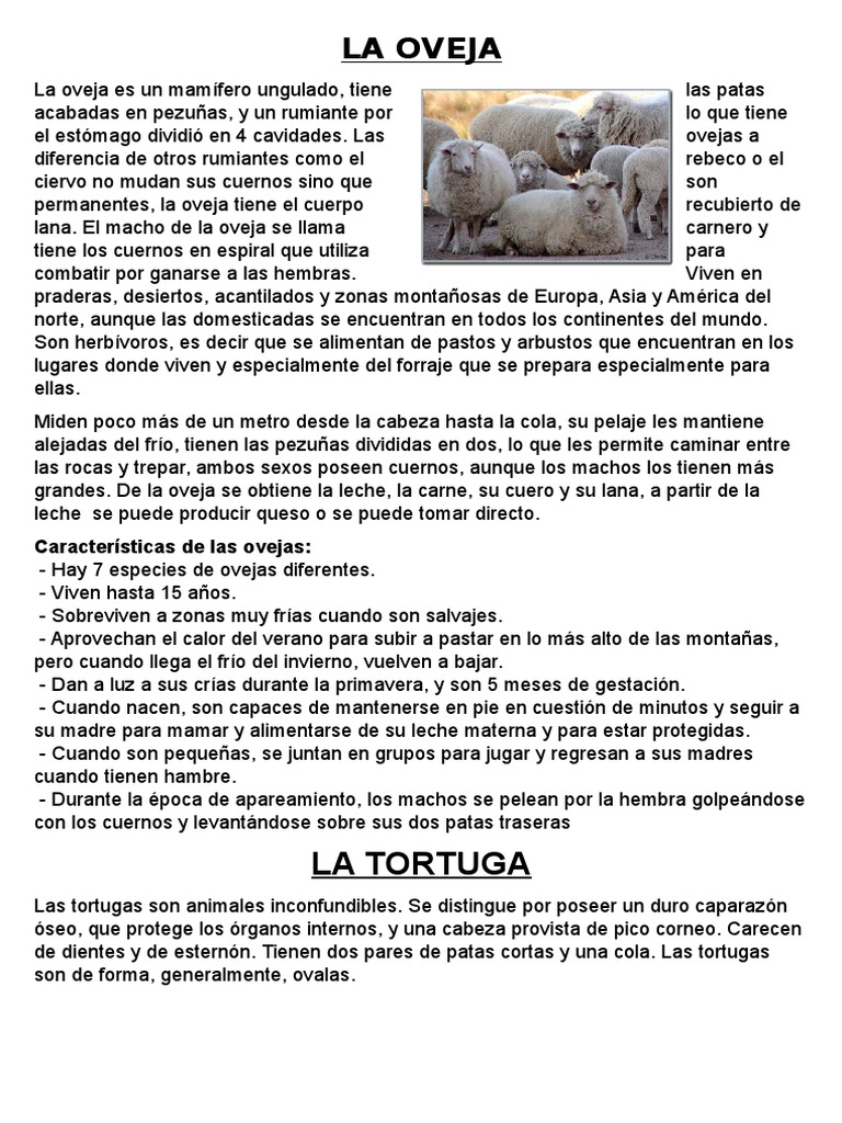 La Oveja | PDF | Oveja | Tortuga