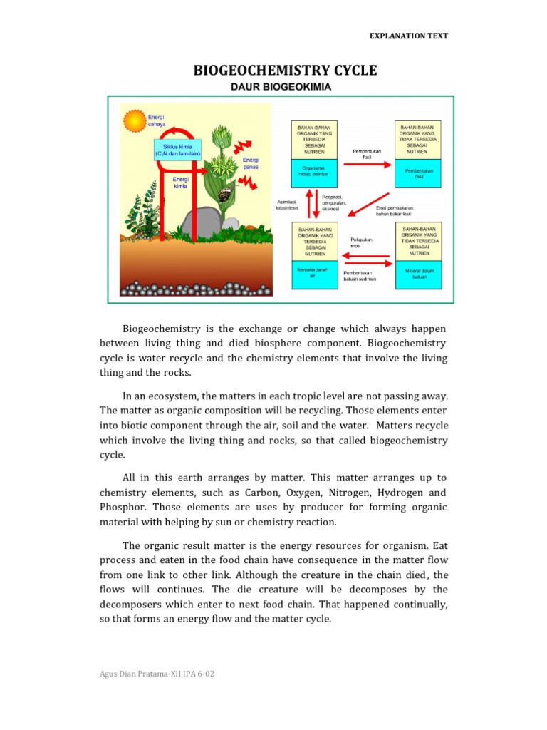 Biogeochemistry Cycle | PDF | Ecosystem | Carbon