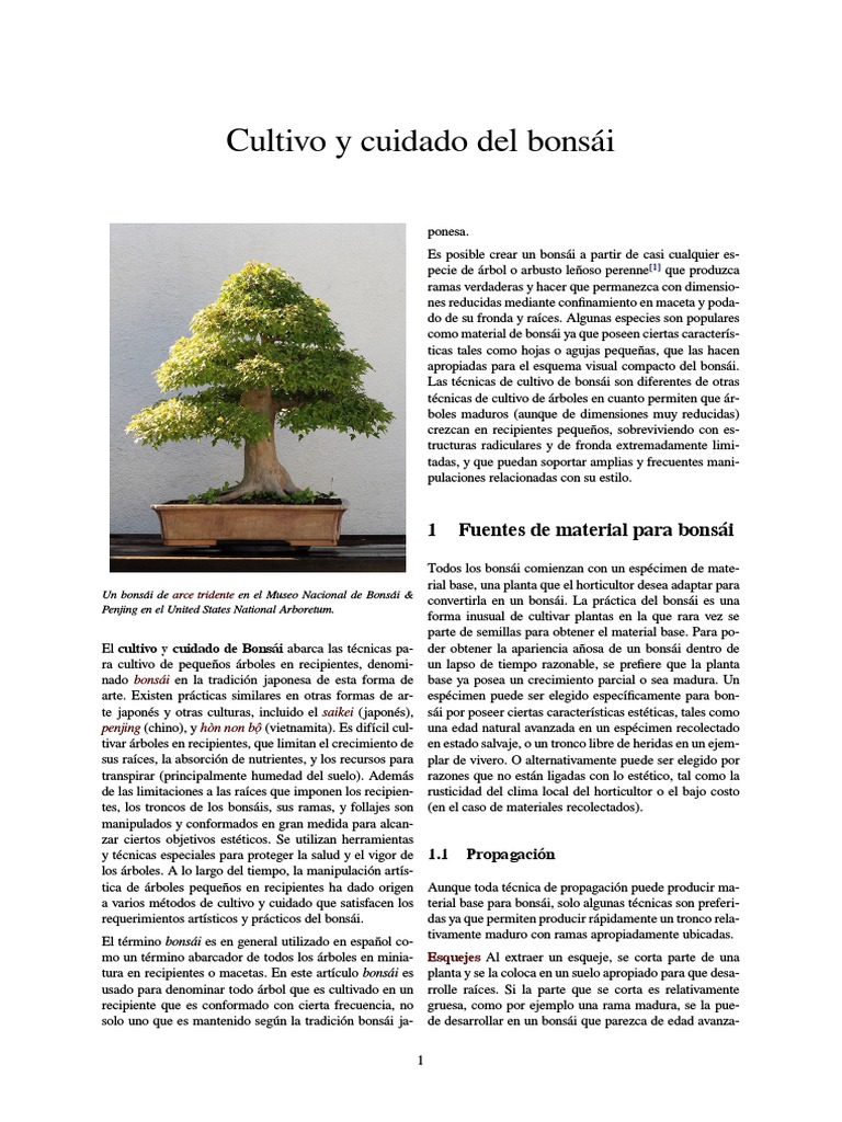 Bonsai PDF | PDF | Bonsai | Botánica