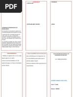 Triptico Botella Remolino | PDF