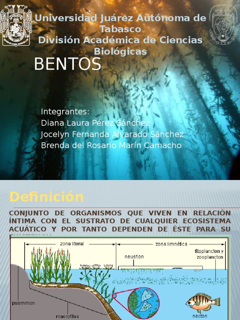 Bentos Exposición Ecosistemas Acuaticos | PDF | Ecosistema | Organismos