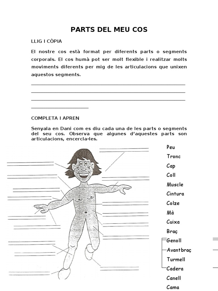 Parts Del Cos | PDF