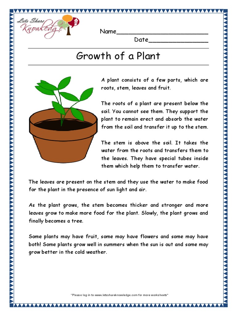 Growth of Plant Grade 2 Comprehension Worksheet | PDF