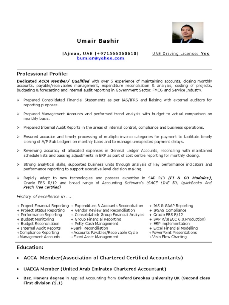 Umair Bashir CV - Copy 3 | Download Free PDF | Accounting | Internal Audit