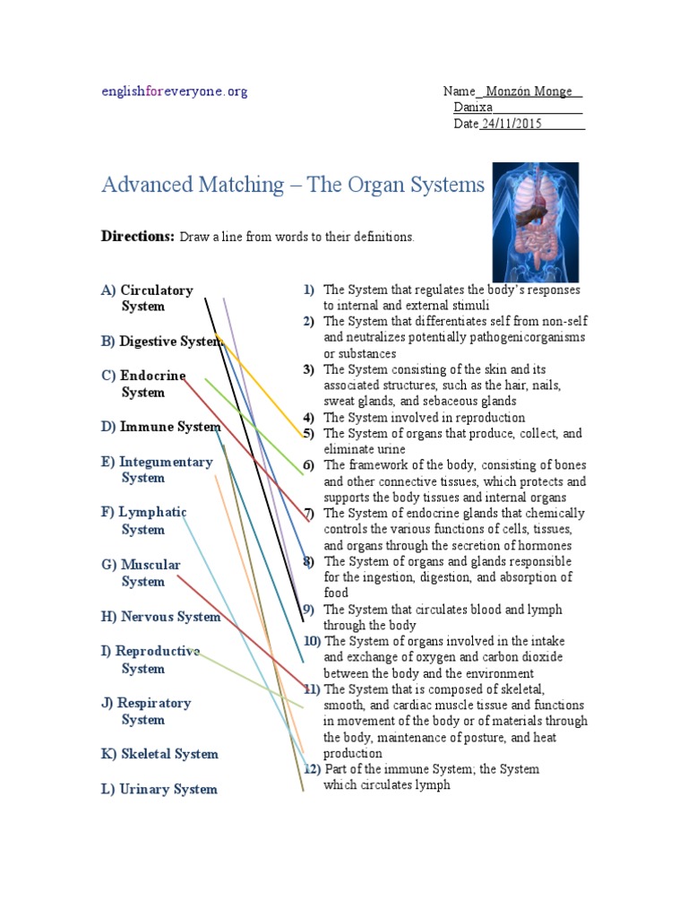 Advanced Matching - The Organ Systems: Directions | PDF | Human Body ...