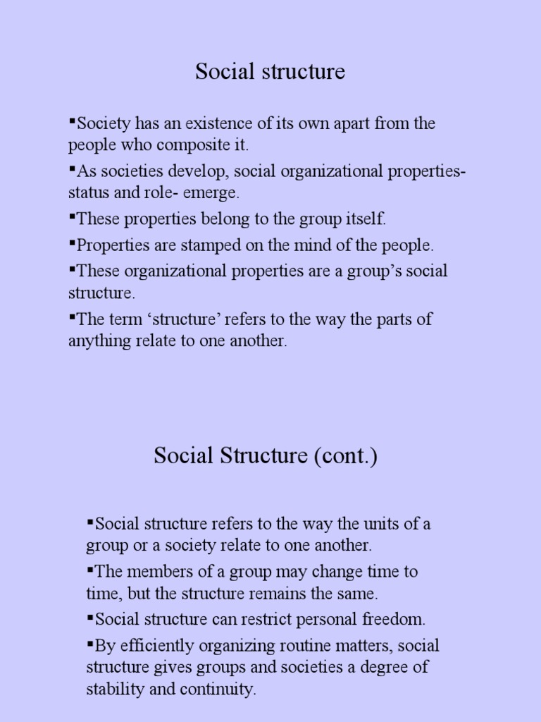 Social Structure | PDF | Community | Social Structure
