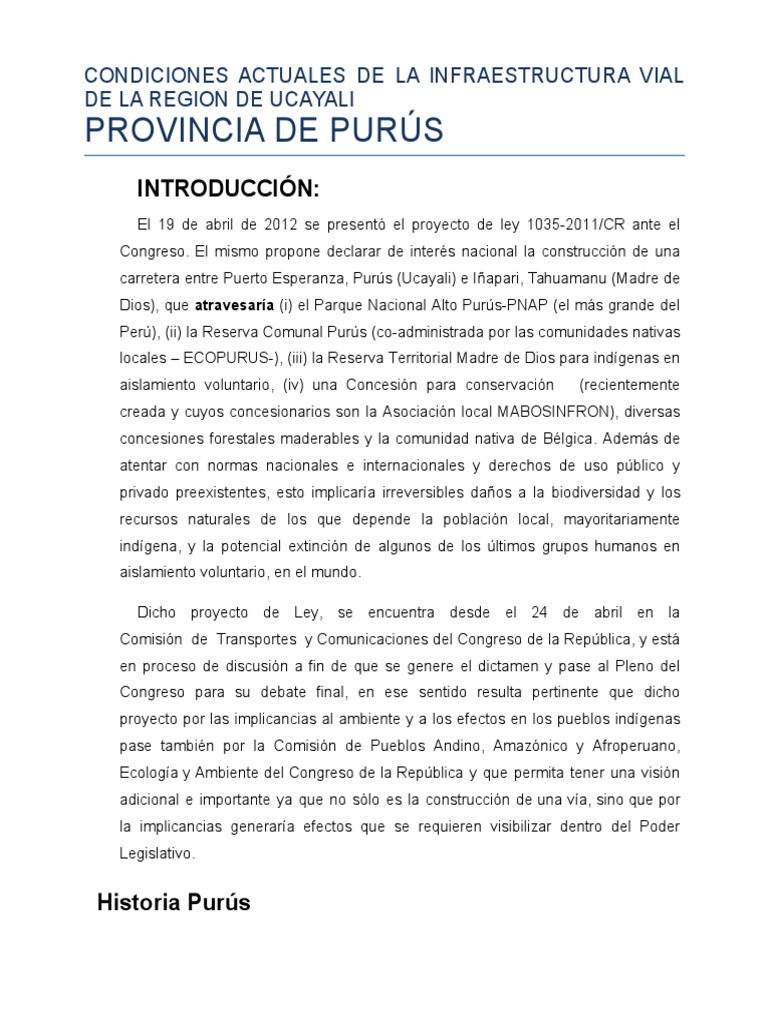 Monografia Purus | PDF | Presupuesto | Perú