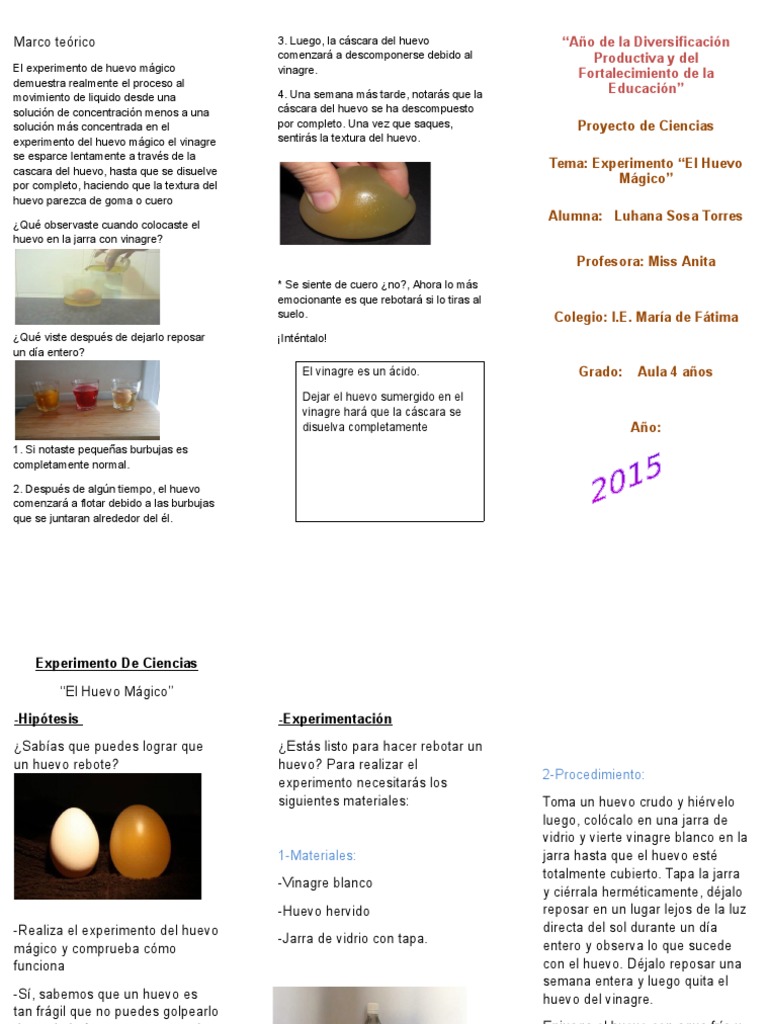 Experimento Huevo Magico | PDF