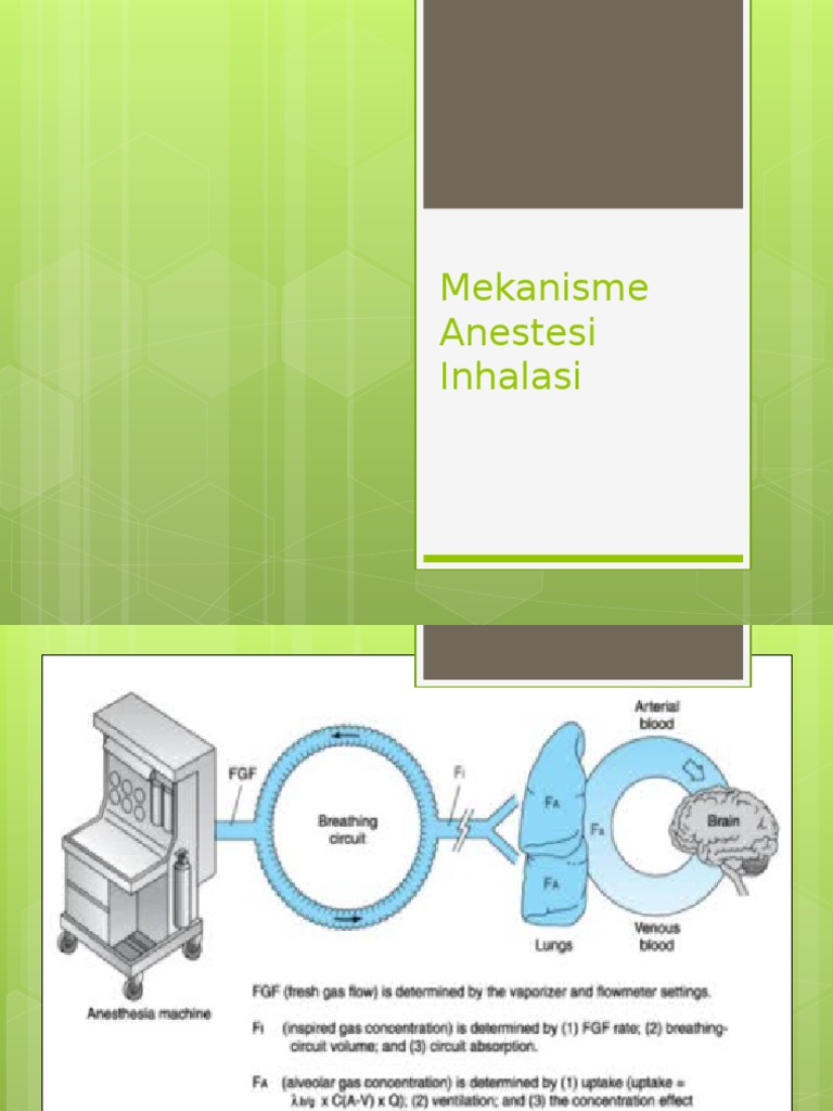 Mekanisme Anestesi Inhalasi | PDF | Chemical Synapse | Neurotransmitter
