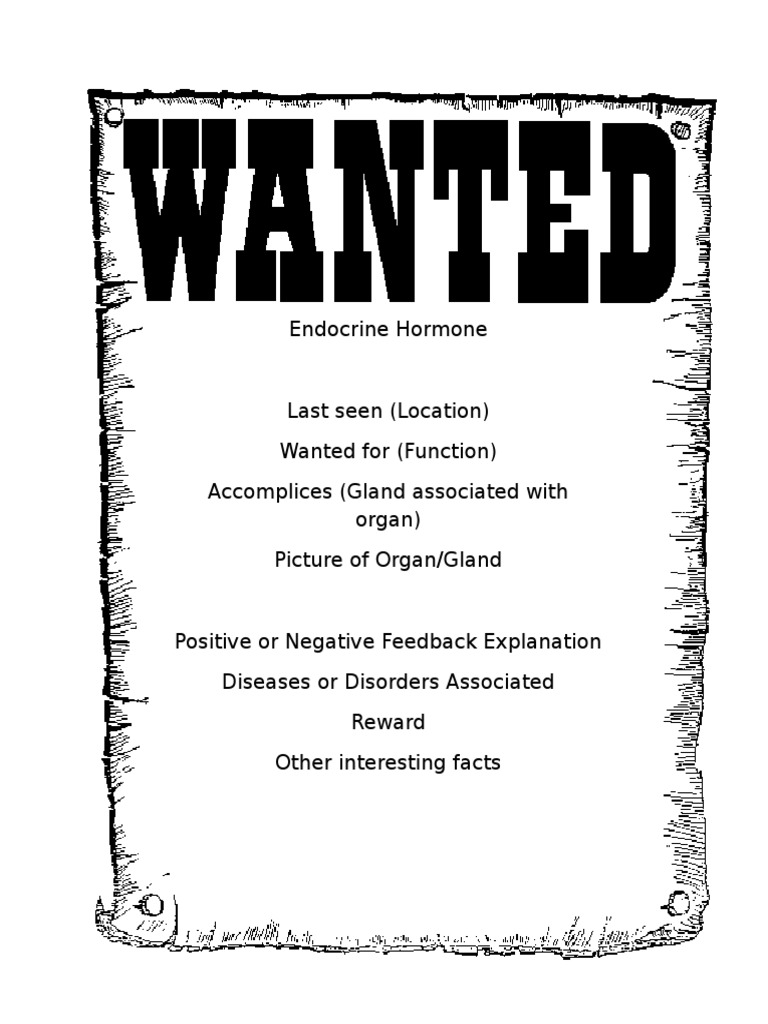 Wanted Poster Endocrine Hormones | PDF