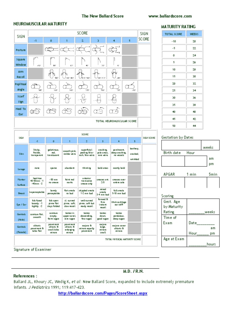 New Ballard Score for Neuromuscular Maturity | PDF