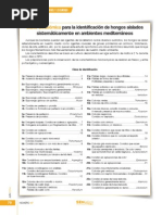 Agente Caotrópico | PDF | Ciencia y matemáticas