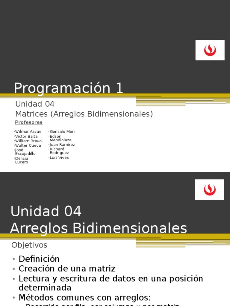 04 Arreglos Bidimensionales Teoria | PDF