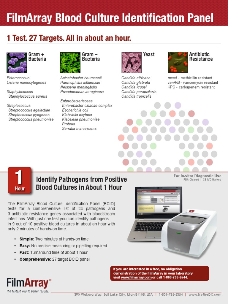 Info Sheet Bcid Panel Flm1 PRT 0069 03 | PDF | Polymerase Chain ...