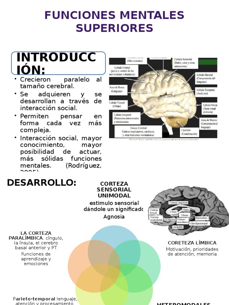 Funciones Mentales Superiores | PDF