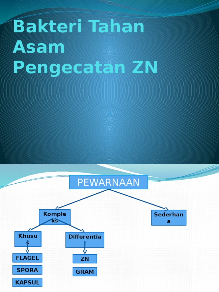 Bakteri Tahan Asam | PDF