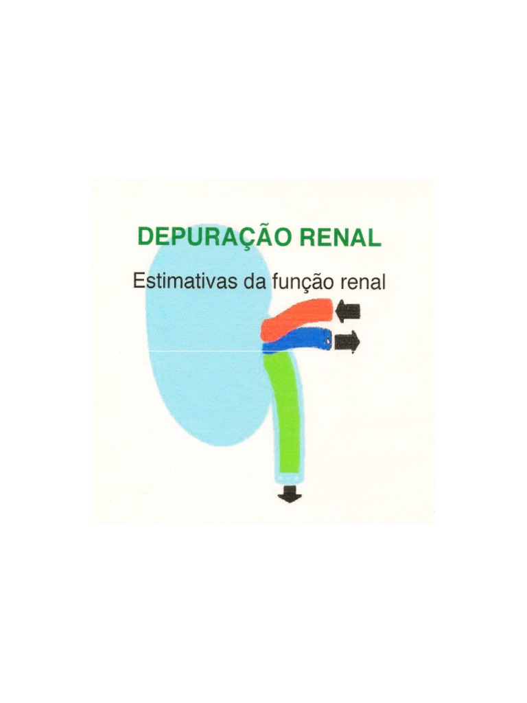 Aula 13. Depuracao Renal | Download grátis PDF | Função renal | Rim